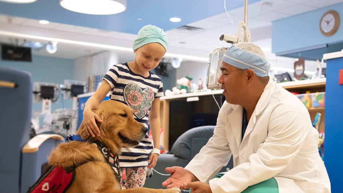Joe DiMaggio Children’s Hospital Receives $500,000 Donation for Animal ...